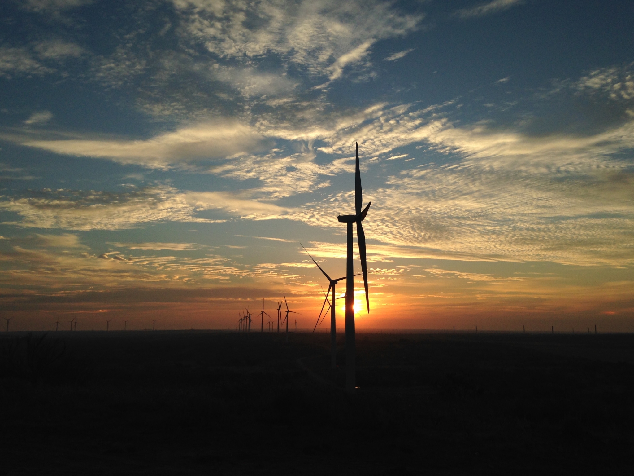 Our Investments - Lotus