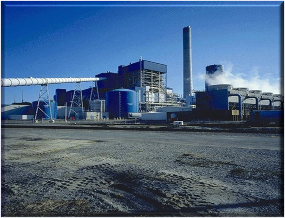 Our Investments - Lotus